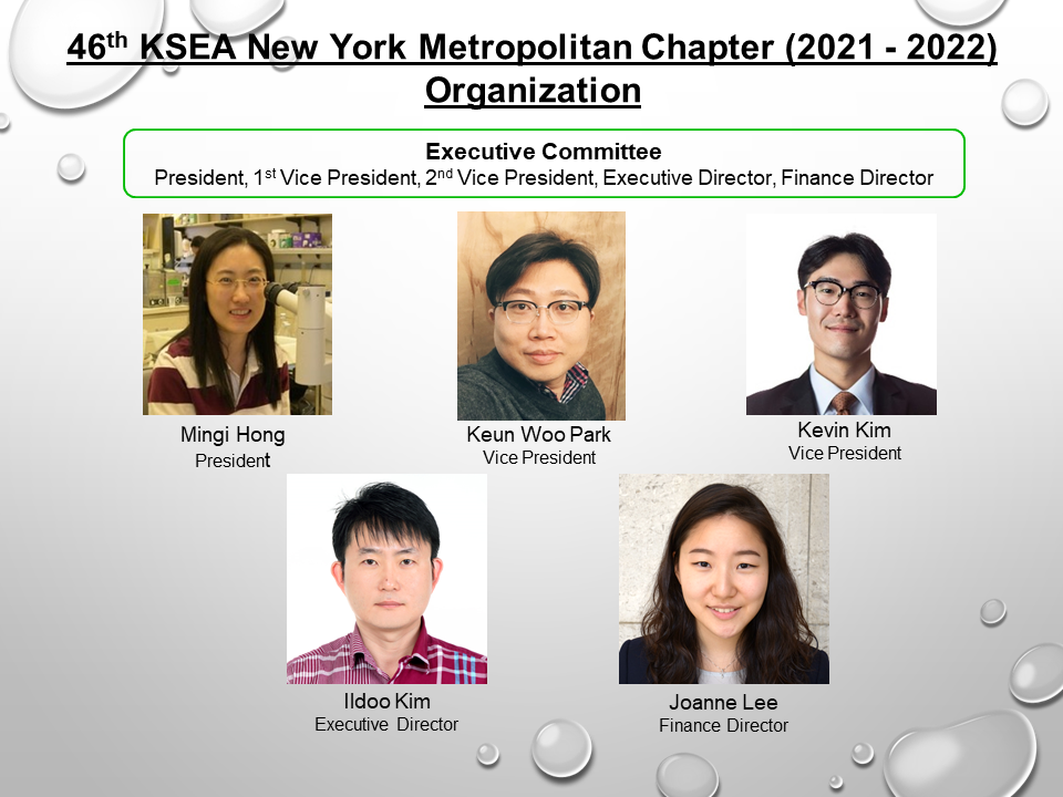 Organization – NMSC